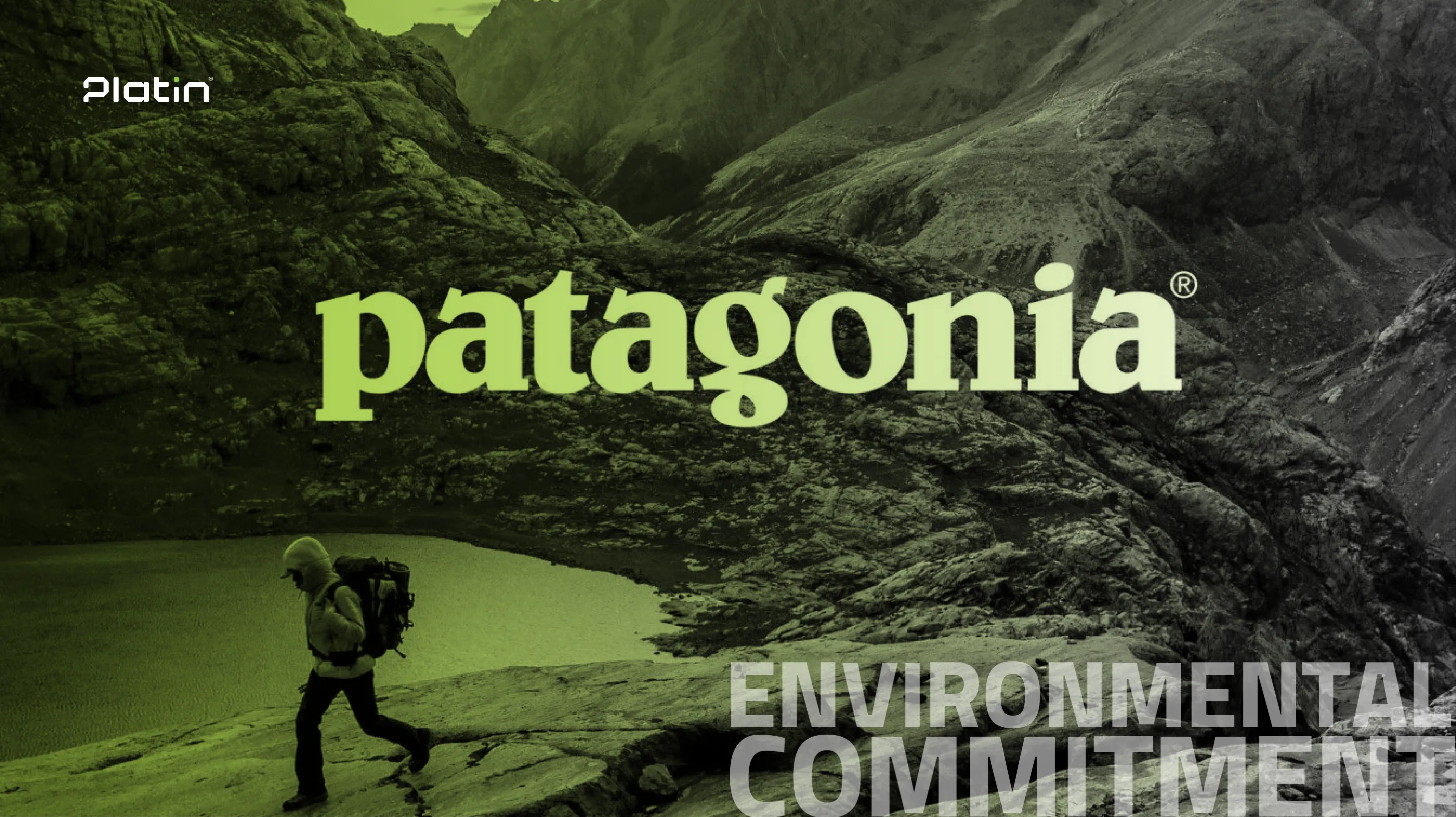 What Is Brand Loyalty?